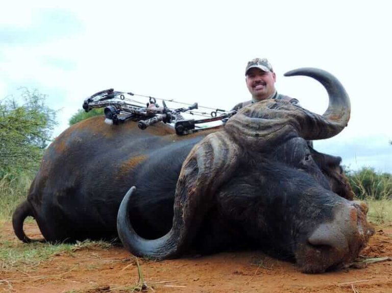 Hunting | Dumukwa Safaris